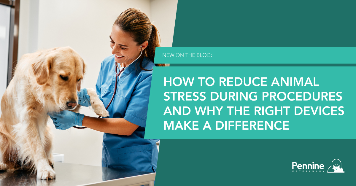 Reducing Animal Stress With The Right Veterinary Surgical Instruments